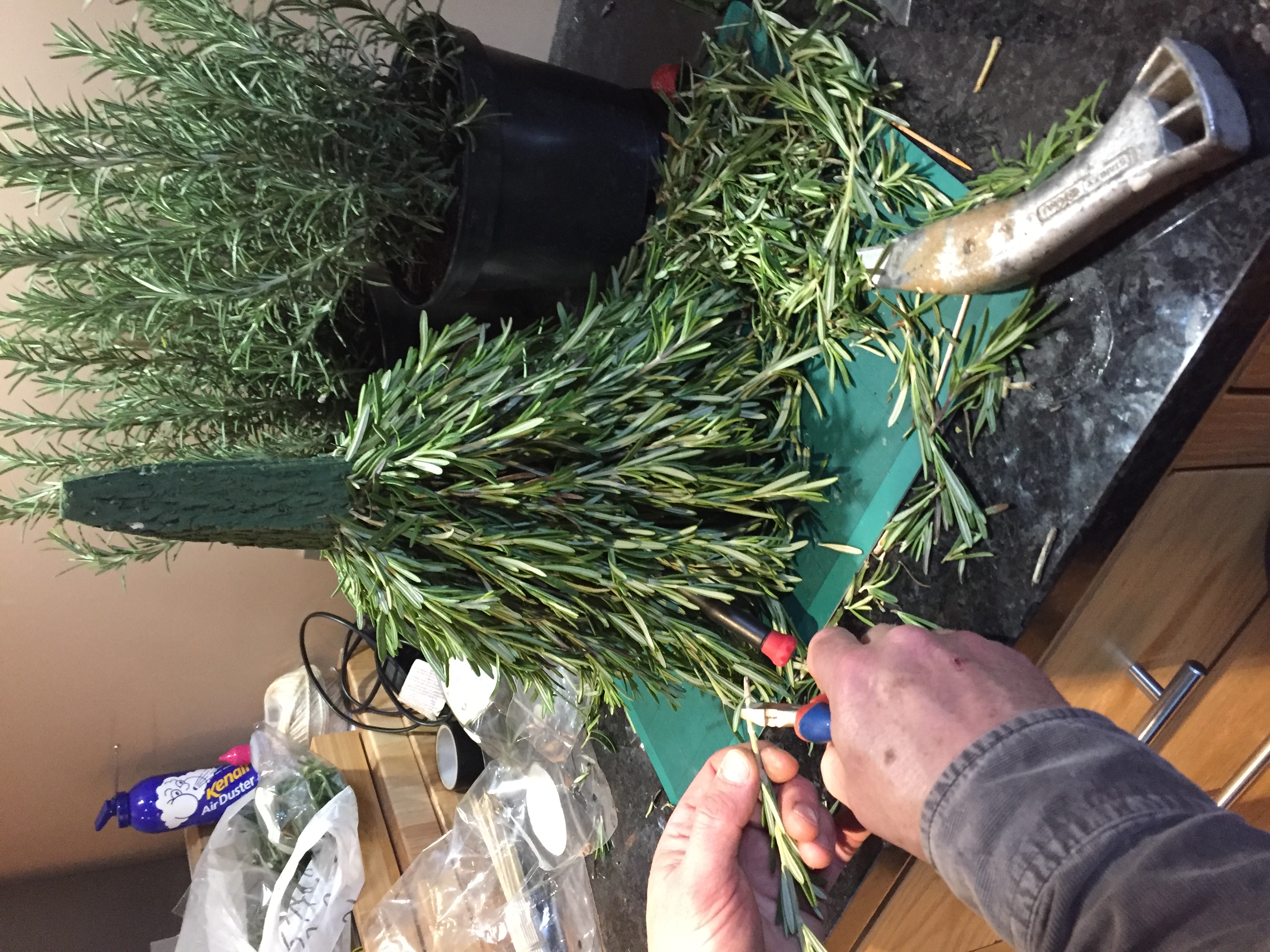 How To Build An Edible Christmas Tree - Food.com